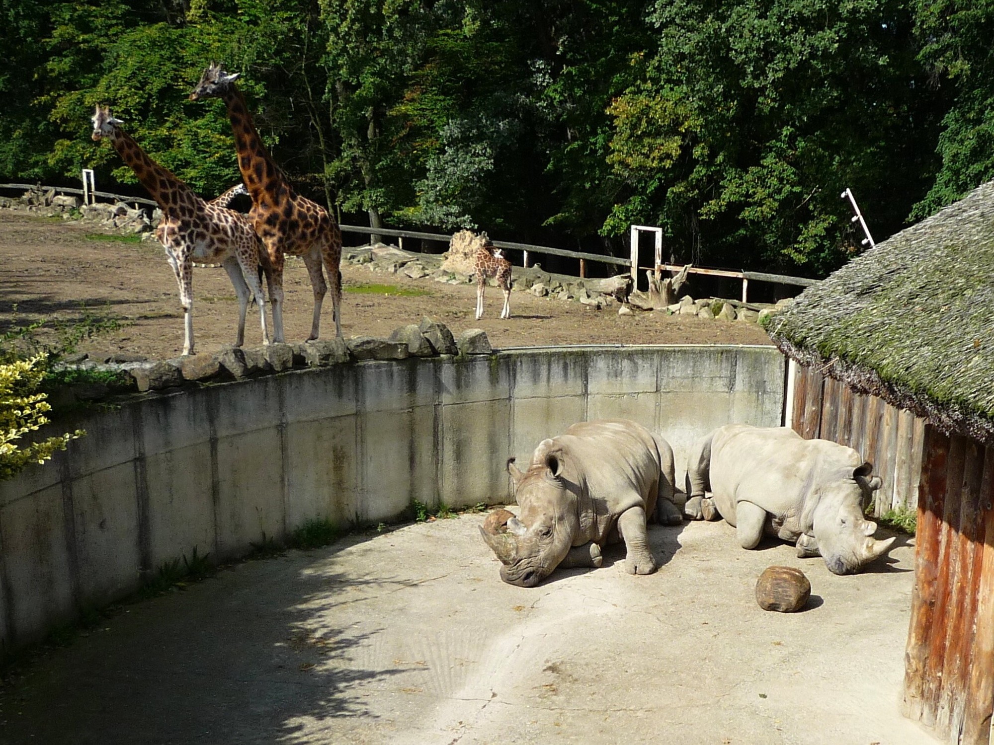 ZOO Zlín Lešná a zámek Lešná | Ubytování Penzion Apartmány Zlín